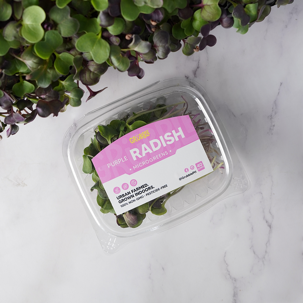 Grubble PH | Purple Radish Microgreens
