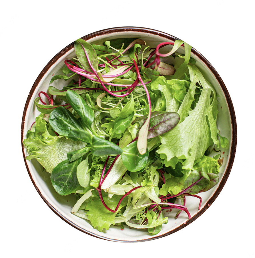 Grubble PH | Rainbox Micro Salad Mix